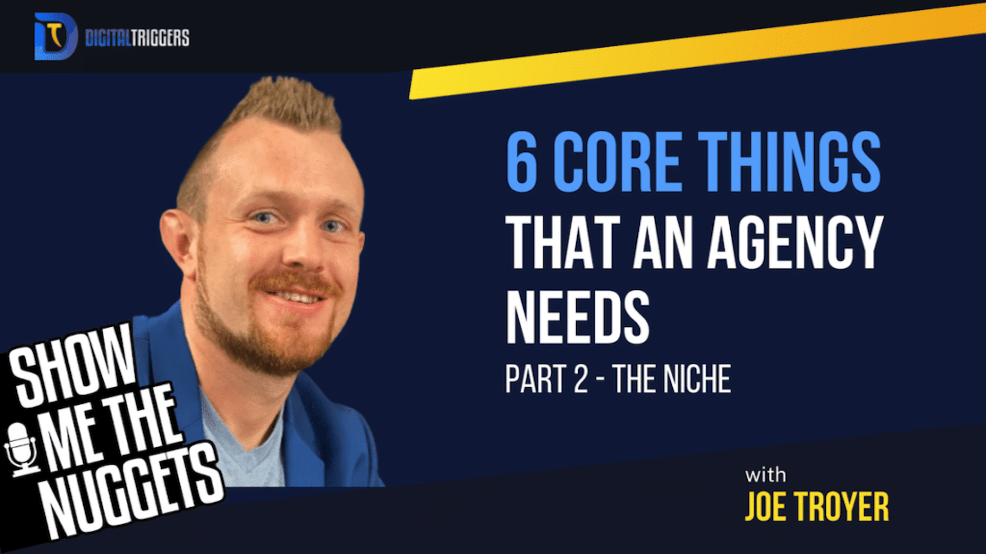 6 Core Things That an Agency Needs Part 2 – The Niche - Digital Triggers